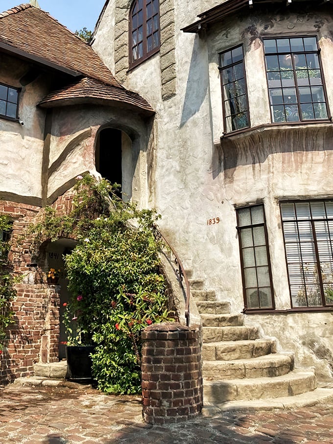 Curved staircases wind upward like something from a Rapunzel fever dream, minus the hair-climbing drama