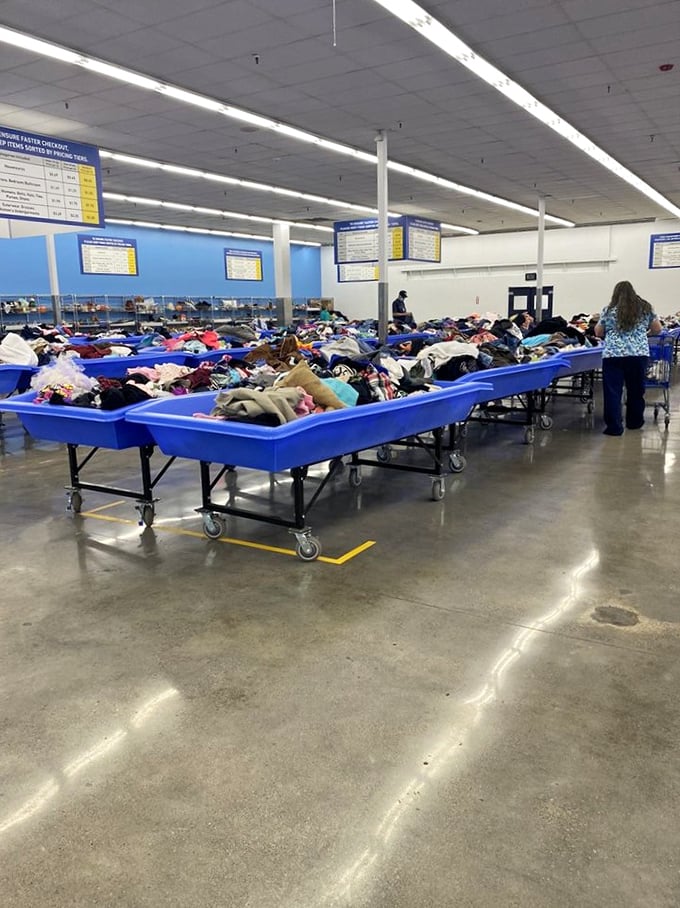 Mountains of possibility await in these royal blue troughs, where yesterday's discards transform into tomorrow's discoveries.