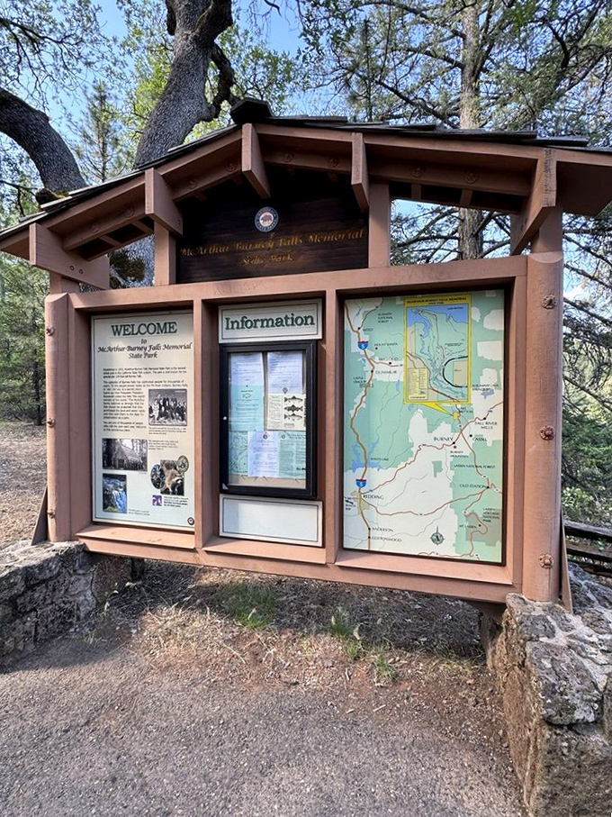 The information board stands like a friendly forest librarian, ready to share all the secrets of Burney Falls without the annoying "shushing."