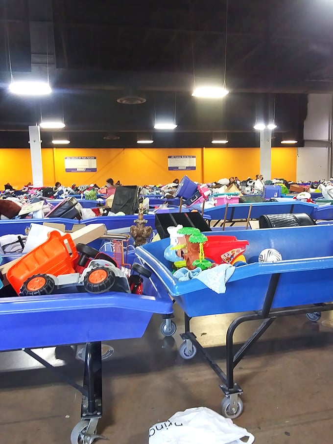 The blue bin battlefield where seasoned thrifters strategize their approach like chess grandmasters planning their next move.