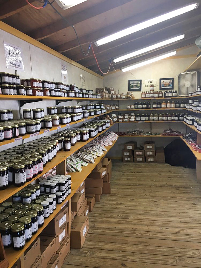 A jam-packed paradise of preserves where summer fruits are captured in glass, each jar a time capsule of Indiana's sweetest harvests.