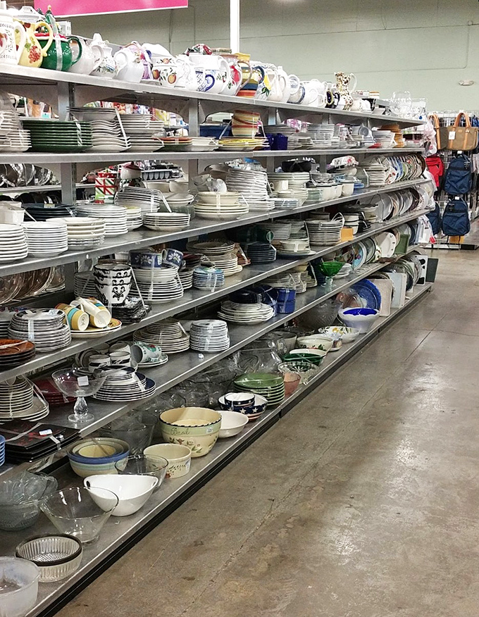 Plates, bowls, and serving pieces create a ceramic symphony that would make Martha Stewart weep with joy.