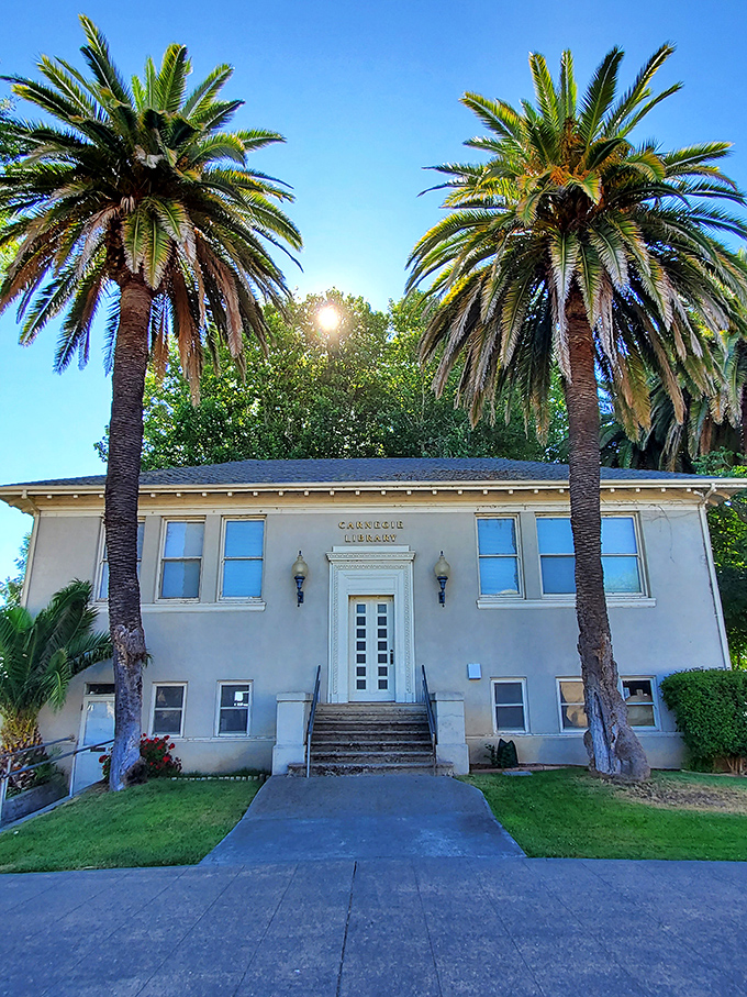 Twin palms stand guard at the Carnegie Library like literary bouncers, protecting knowledge with California flair since long before Google knew everything.