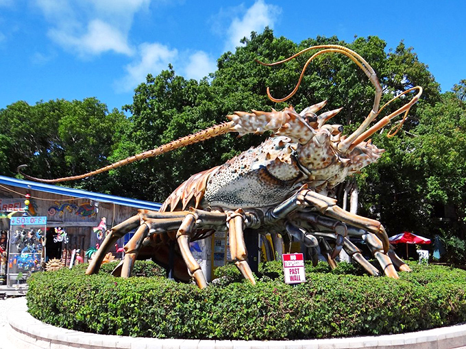 The famous lobster statue stands guard in Islamorada, a quirky landmark that says "Yes, you've officially reached paradise" better than any welcome sign.