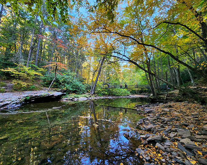 Autumn paints Trough Creek State Park with its golden brush, creating mirror-perfect reflections that would make Bob Ross reach for his palette with childlike glee.