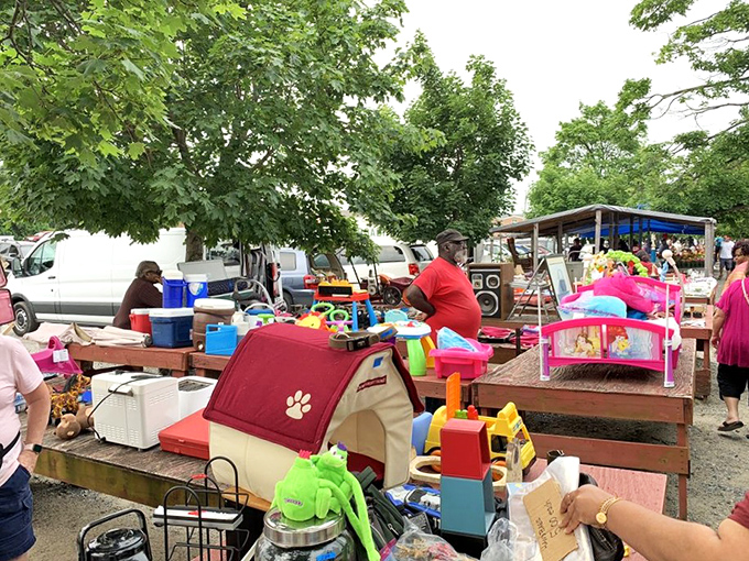 One shopper's castoffs become another's must-haves at the outdoor market&mdash;those colorful pet beds might finally convince Fluffy to stop sleeping on your clean laundry.