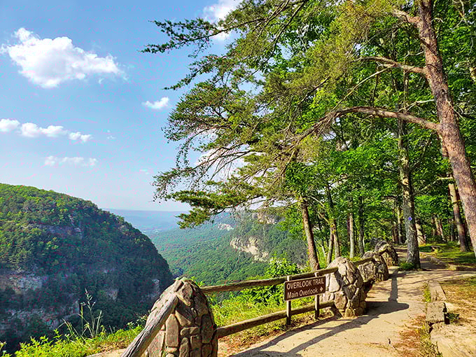 That moment when you realize your office view could use a serious upgrade. The Overlook Trail delivers panoramas that make work emails seem hilariously unimportant.