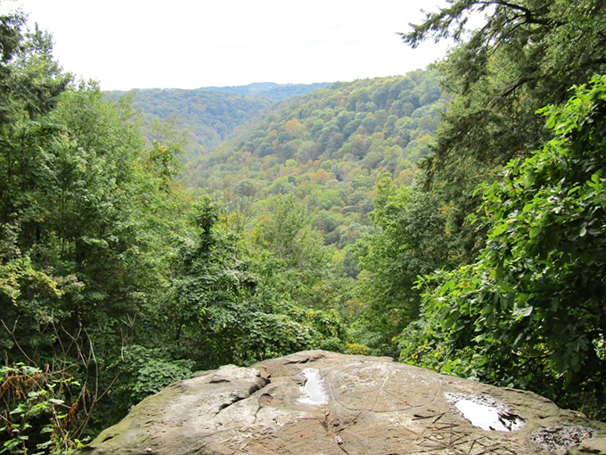 Mother Nature's grand theater unfolds before you at this overlook, where the gorge reveals layers of geological drama millions of years in the making.
