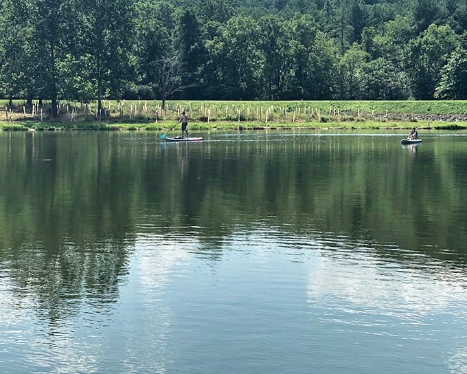 Serenity on display as paddleboarders glide across mirror-like waters, finding that perfect balance between adventure and tranquility.