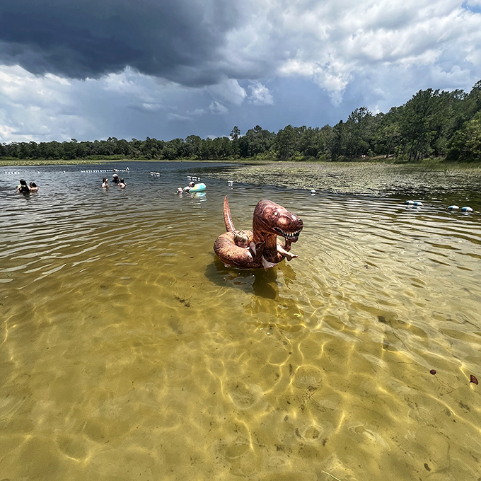 Who needs a fancy resort pool when you've got this? Even the inflatable dinosaur seems to be living his best prehistoric life.