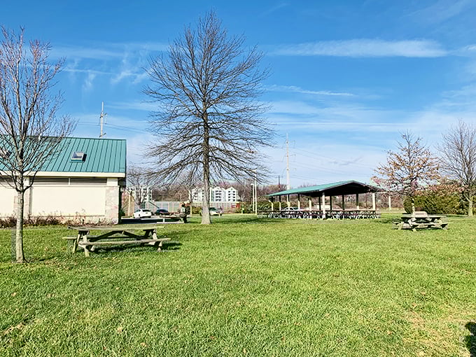 Not all classrooms have walls. This picnic area doubles as Nature 101, where lunch comes with a side of panoramic river views.