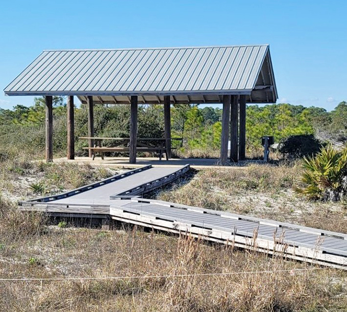 The Panhandle's version of five-star dining&mdash;a shaded pavilion where sandwiches somehow taste better than at any fancy restaurant in Manhattan.