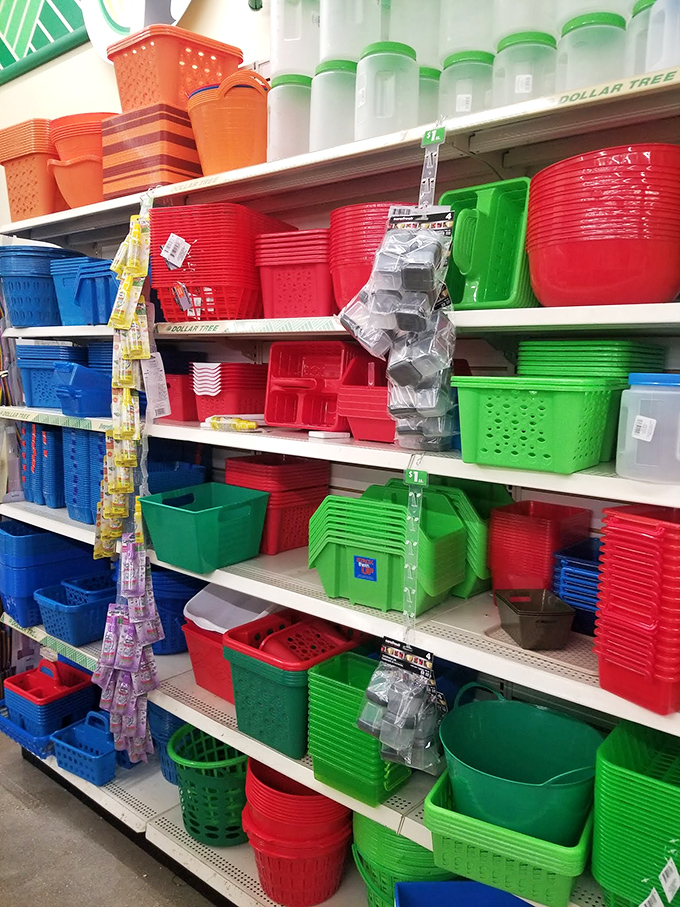 The rainbow of storage containers could make Marie Kondo weep with organizational joy. Wisconsin's closet chaos doesn't stand a chance.