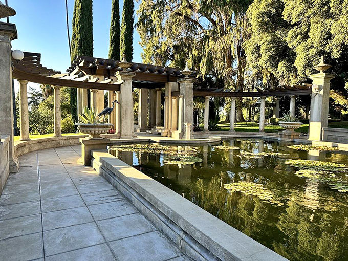Lily pads float like nature's dinner plates across this tranquil pond, creating a meditation spot Monet would have camped out at for weeks.
