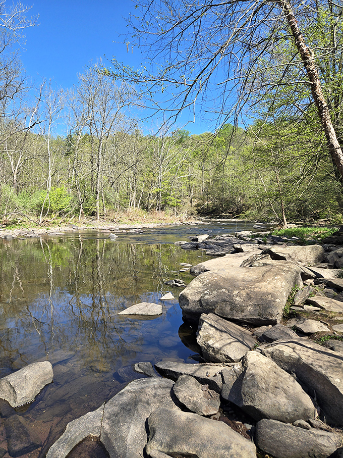 The Tohickon Creek's clear waters invite contemplation as smooth stones create nature's own meditation garden. Serenity now, indeed!