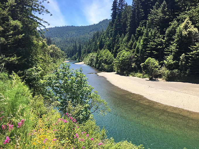 The Eel River provides the perfect soundtrack to your redwood symphony - nature's own background music.