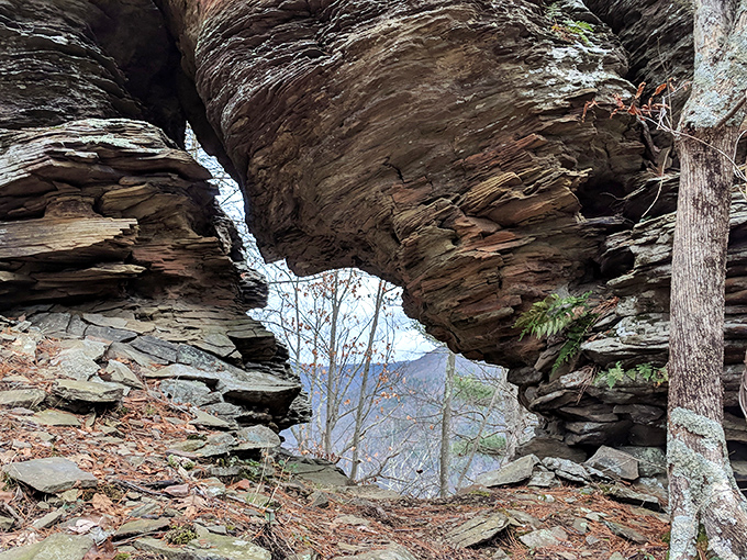 Nature's own stone arch&mdash;like something Gaud&iacute; would design if he'd been born in Pennsylvania with a geology obsession.