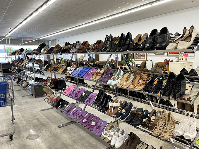 A shoe collection that would make Imelda Marcos jealous, organized with the precision of a NASA launch sequence.