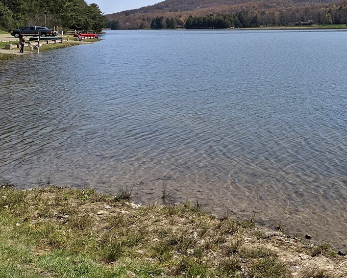 Crystal clear waters invite you to dip your toes or cast a line. Lake Chapman's shoreline promises tranquility that no spa treatment can match.