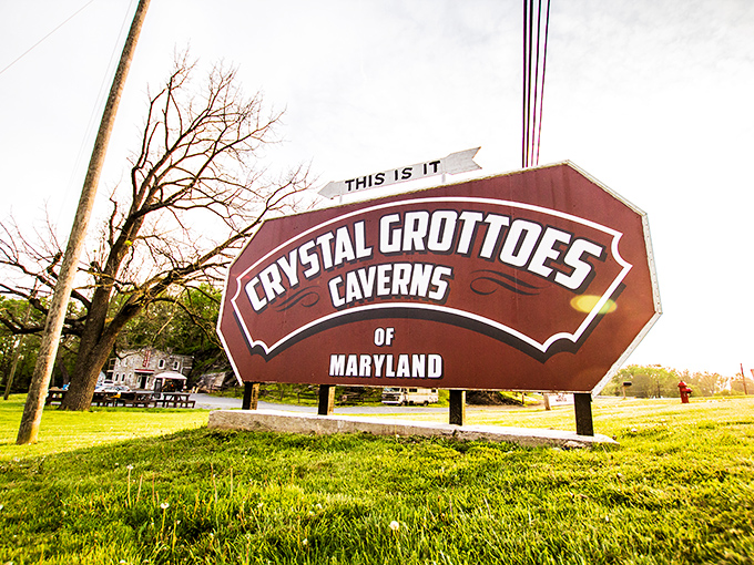 "THIS IS IT" proclaims the sign, with the understated confidence of someone who knows they're sitting on geological treasure.