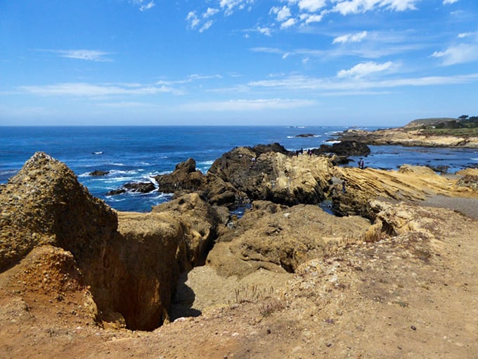 Nature's rock garden meets the sea at Point Lobos. These ancient formations have witnessed more sunsets than all of Hollywood's golden age stars combined.