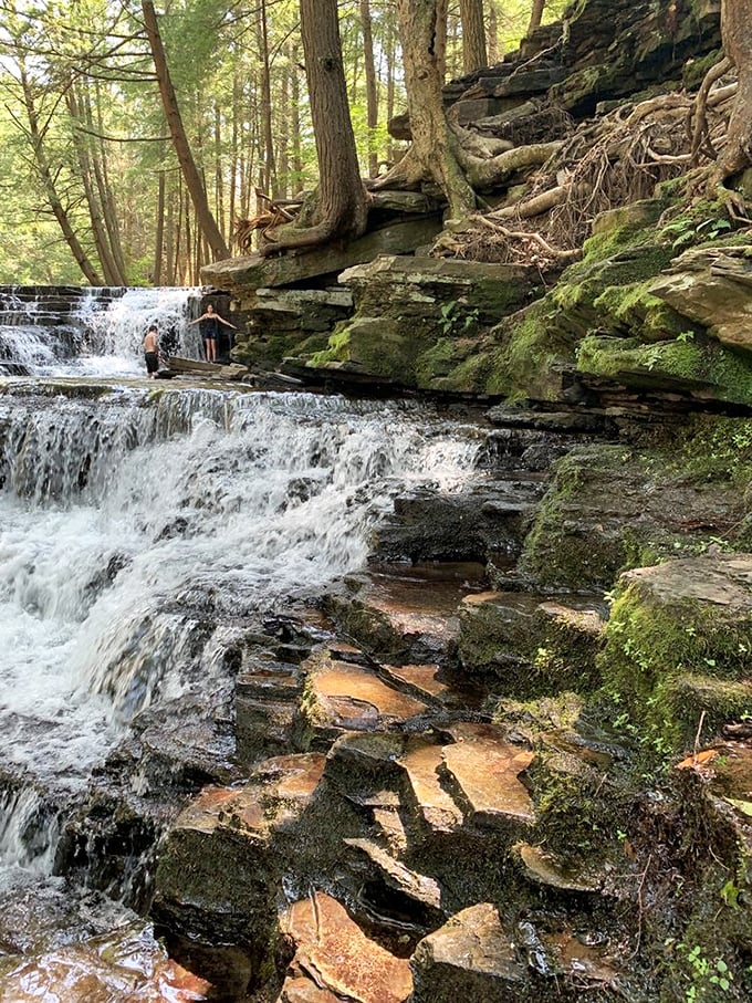 Who needs a spa day when you've got this? Hikers discover the therapeutic powers of Salt Springs' tumbling waters, where stress dissolves faster than sugar in hot coffee.