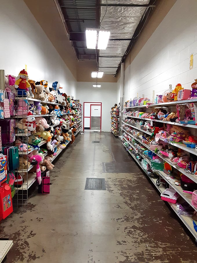 A stuffed animal kingdom where childhood memories line the shelves, waiting for their next adventure with a new friend.