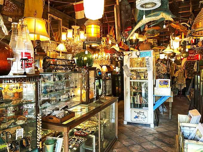 Step inside and prepare for sensory overload &ndash; chandeliers hang alongside fishing buoys while display cases brim with treasures that would make Neptune himself jealous.