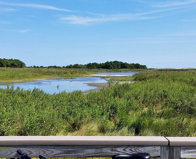 Mother Nature's watercolor masterpiece. Where marshland meets sky in a perfect Delaware tableau that changes with every season.
