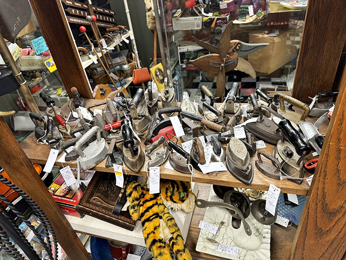 The iron brigade stands at attention. These domestic workhorses have pressed more shirts than a Hollywood stylist before the Oscars.