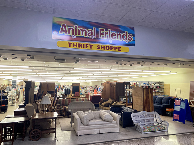 More furniture options than a catalog showroom! Animal Friends Thrift Shoppe turns yesterday's living rooms into tomorrow's best finds.