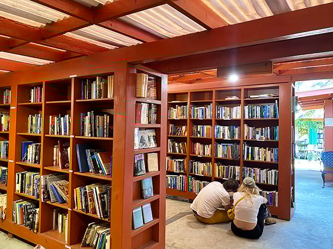 Wooden shelves bathed in natural light create the perfect reading nook at Bart's Books, where nature and literature embrace.