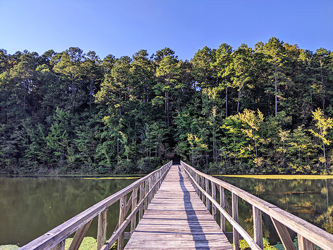 Big Hill Pond's lakeside vista with mountains standing guard. Nature's version of a security detail has never looked so good.