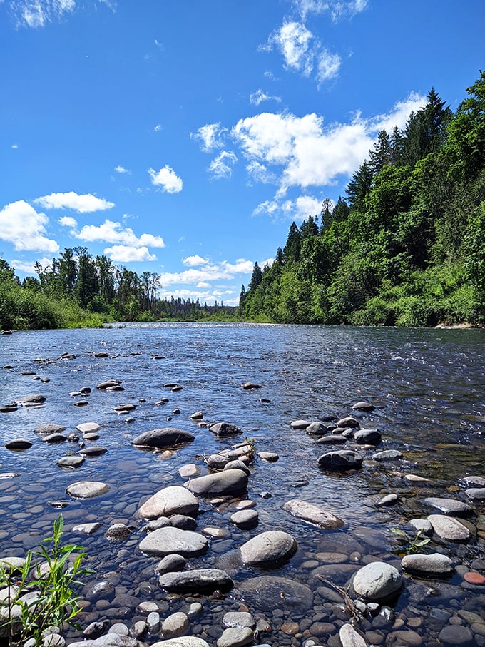 Where the Clackamas River whispers secrets to tall pines. Bonnie Lure's peaceful pathways await your footsteps.