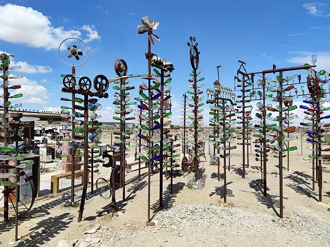 Metal trees bloom with colorful glass bottles, creating a tinkling symphony when desert breezes blow through this unique forest.