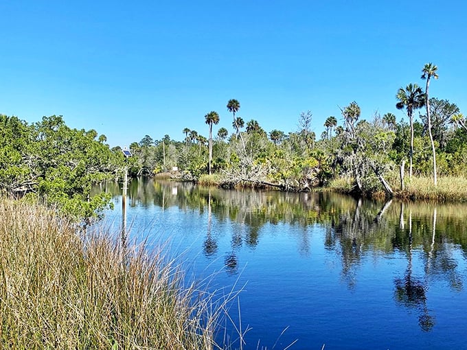 Mirror, mirror on the water... Econfina River's reflections create Florida's most stunning natural infinity pool.