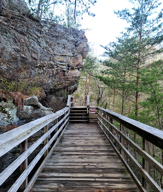 Wooden walkways guide you through rocky wonderlands. Like walking through the pages of a fantasy novel!