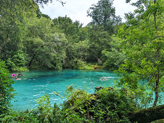 Ichetucknee's pristine waters offer Florida's best natural lazy river experience&mdash;no artificial wave machines required!
