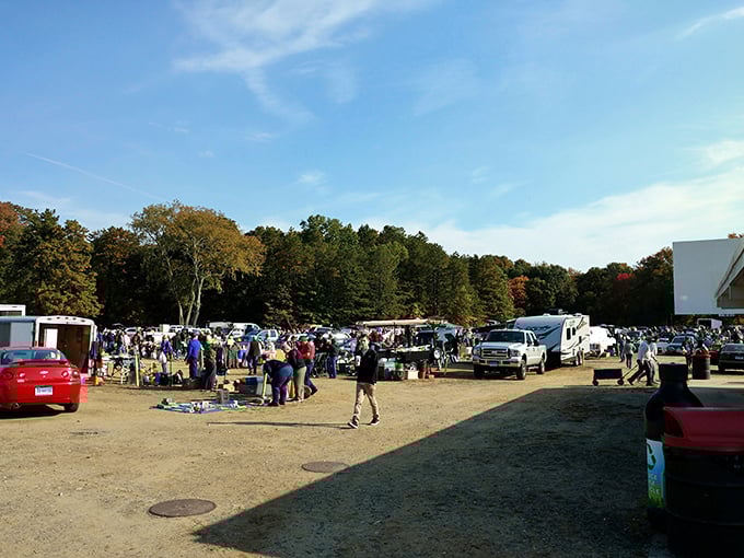 Sunlight filters through the trees at Mansfield's marketplace, where shoppers hunt for treasures before the evening's feature presentation.