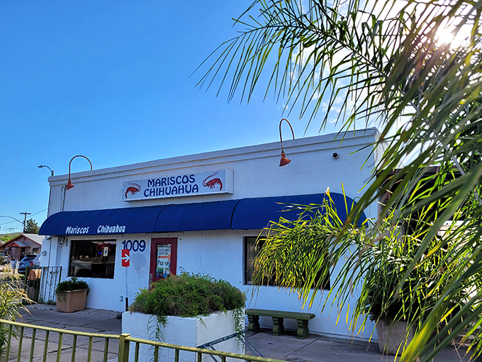 Mariscos Chihuahua proves the old adage: never judge a seafood joint by its humble storefront. The magic happens inside.
