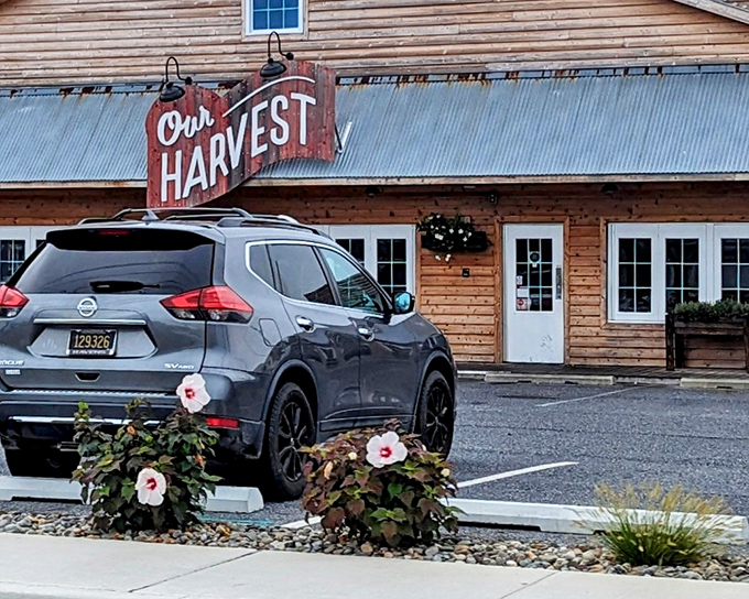 Our Harvest looks like the cabin your wealthy friend built "to get away from it all," except here the fridge is always stocked.
