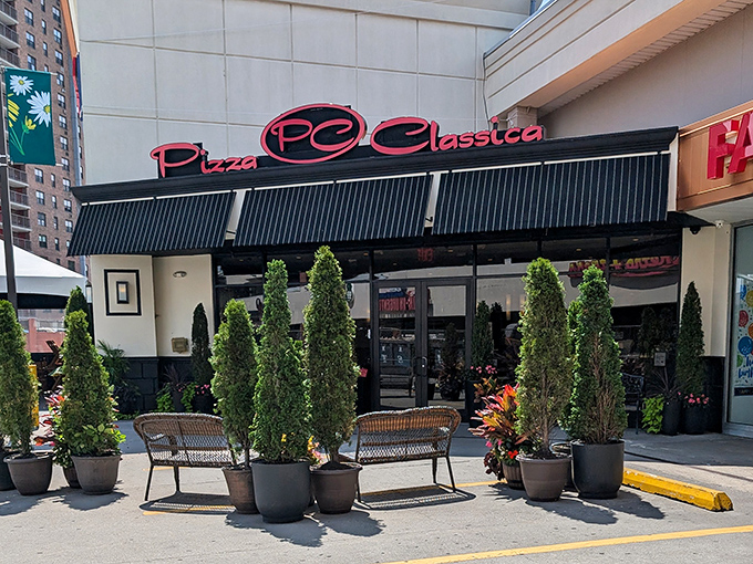 Pizza Classica's tidy exterior with those neat little trees—like your fastidious aunt decided to open a pizza joint.