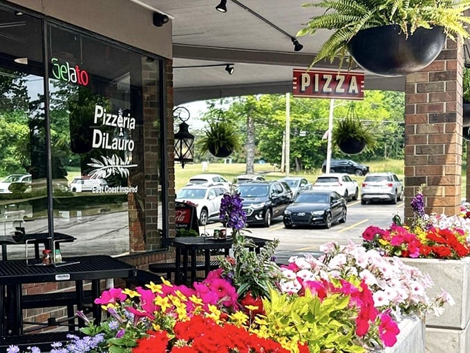 Pizzeria DiLauro's flower-filled entrance feels like stumbling upon a secret garden that happens to serve amazing pizza.