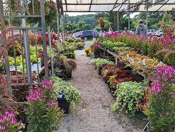 Raisin Bran by the case? At Rice's Market, bulk bargains and everyday essentials sit alongside unexpected vintage finds.
