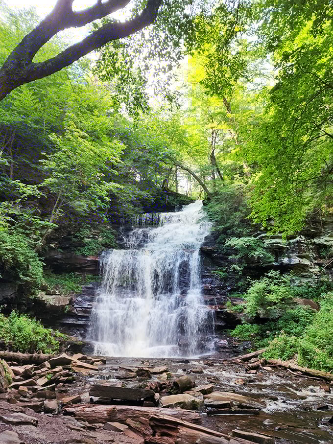 Ricketts Glen's falls whispers ancient secrets as it winds through rocks worn smooth by centuries of persistent water.