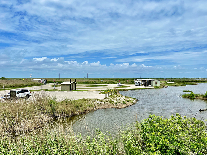 Where land meets Gulf at Sea Rim State Park. This coastal boardwalk feels like walking into a National Geographic spread.