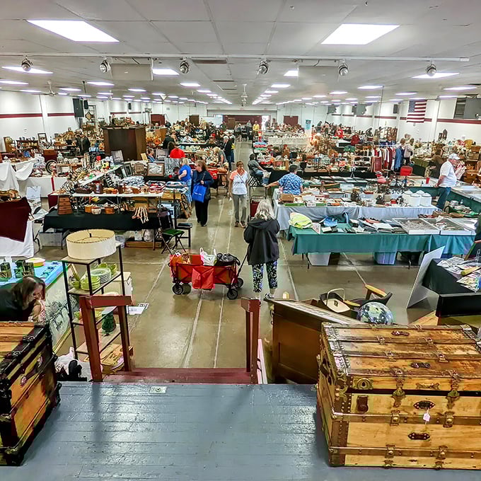 Springfield's indoor market hall transforms ordinary shopping into a treasure expedition. Those vintage trunks could have belonged to your great-grandmother's adventurous cousin!