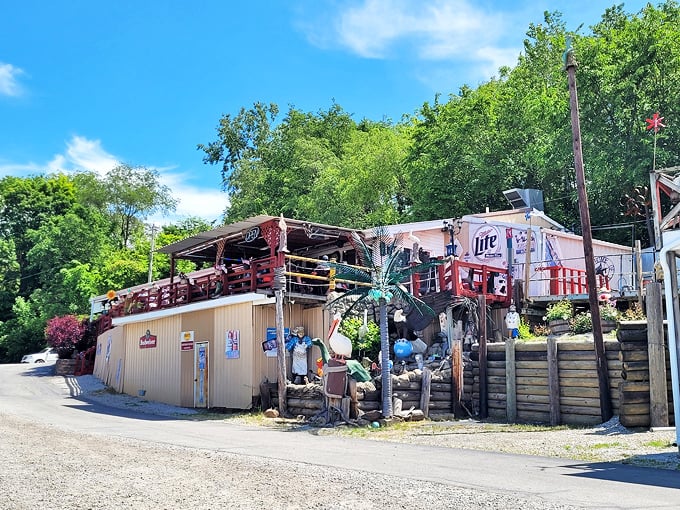 When your restaurant looks like a fishing expedition headquarters, you know they're serious about seafood.