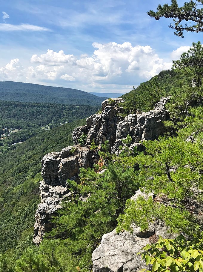 Wills Mountain's rocky overlook &ndash; where eagles soar below you and the world stretches out like a living map.