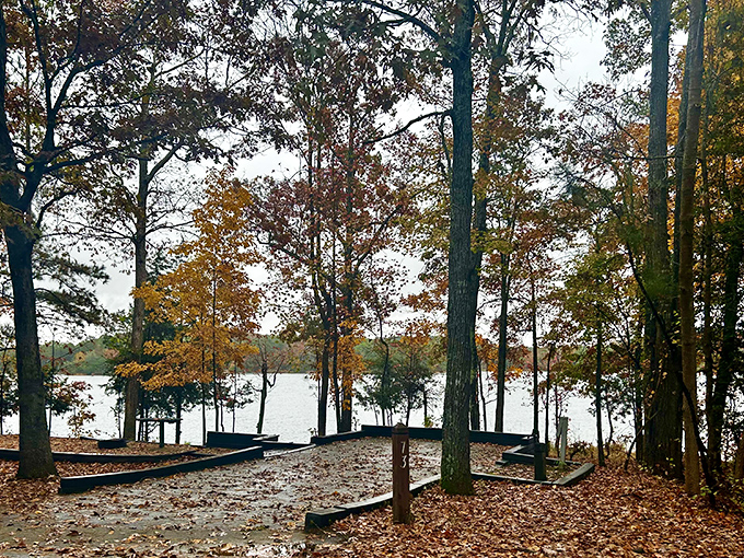 Baker Creek's pristine shoreline: where your worries evaporate faster than morning dew on a sunny day.